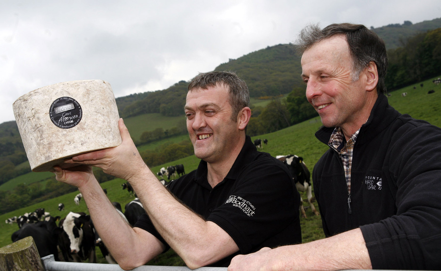 Increase in Production for Revived 18th Century Cheese | Long Article ...
