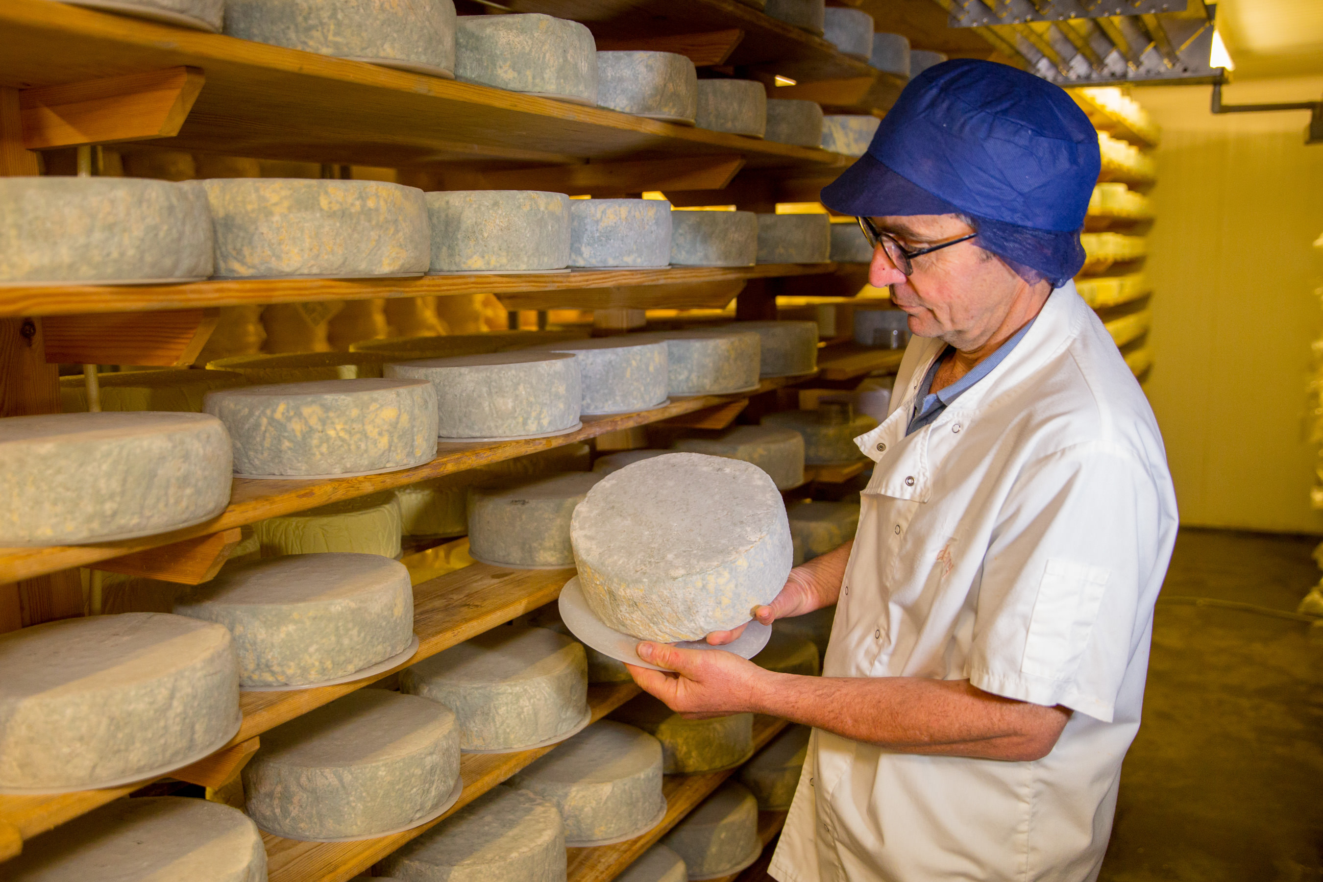 Cheese News: The latest updates from Britain’s cheese and dairy scene ...