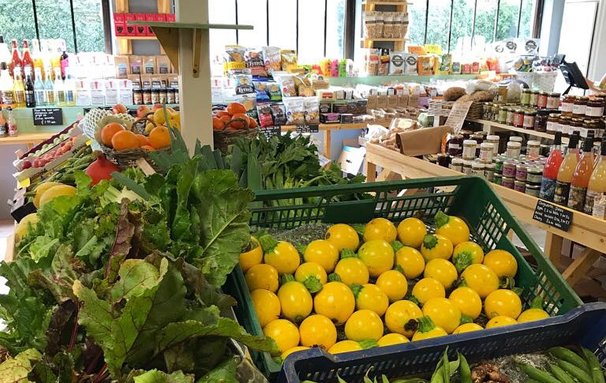 Chegworth Valley Opens Second Shop in Kent | Long Article | Speciality ...