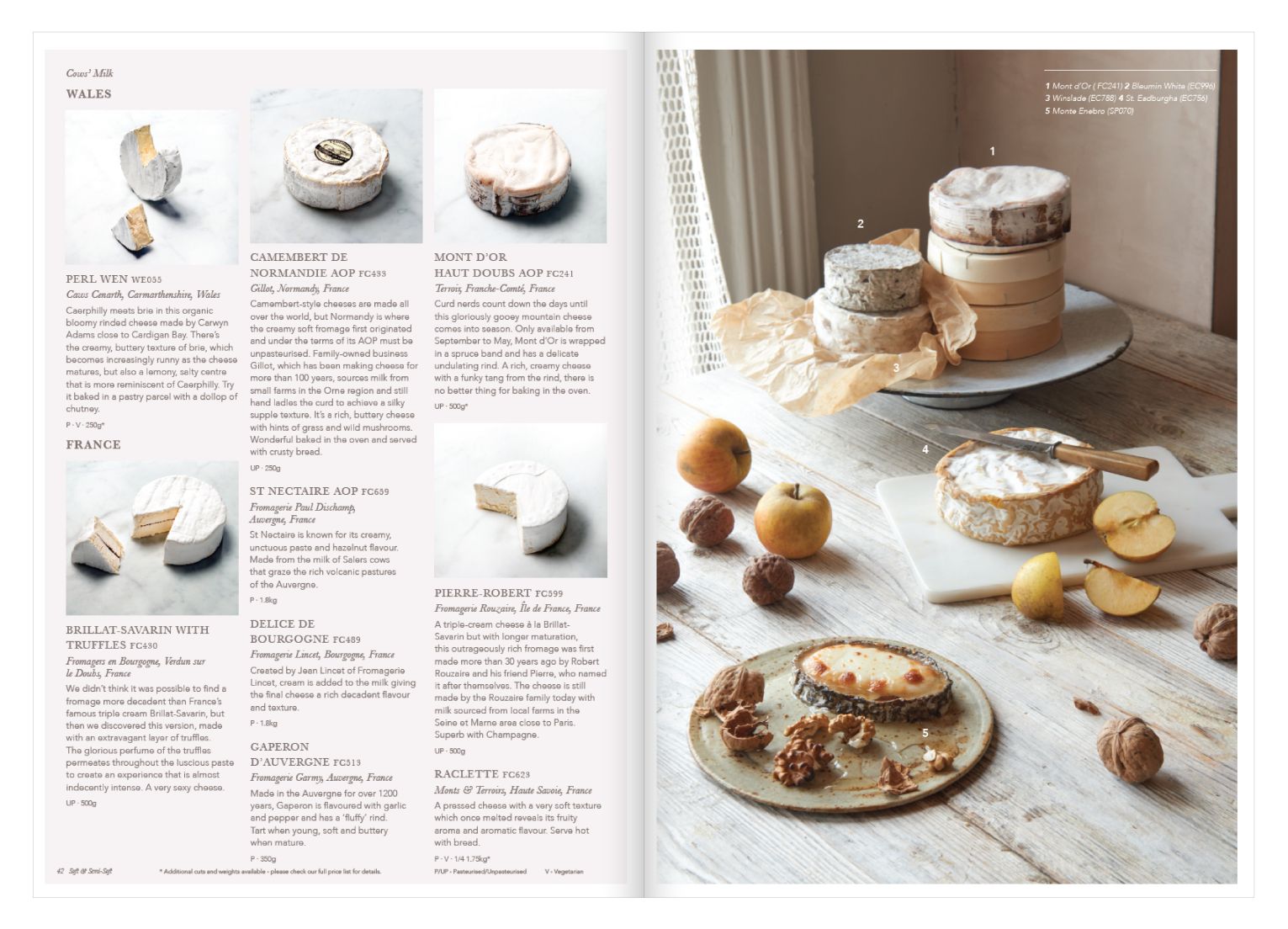 New ‘Cheese Bible’ Released | Long Article | Speciality Food Magazine