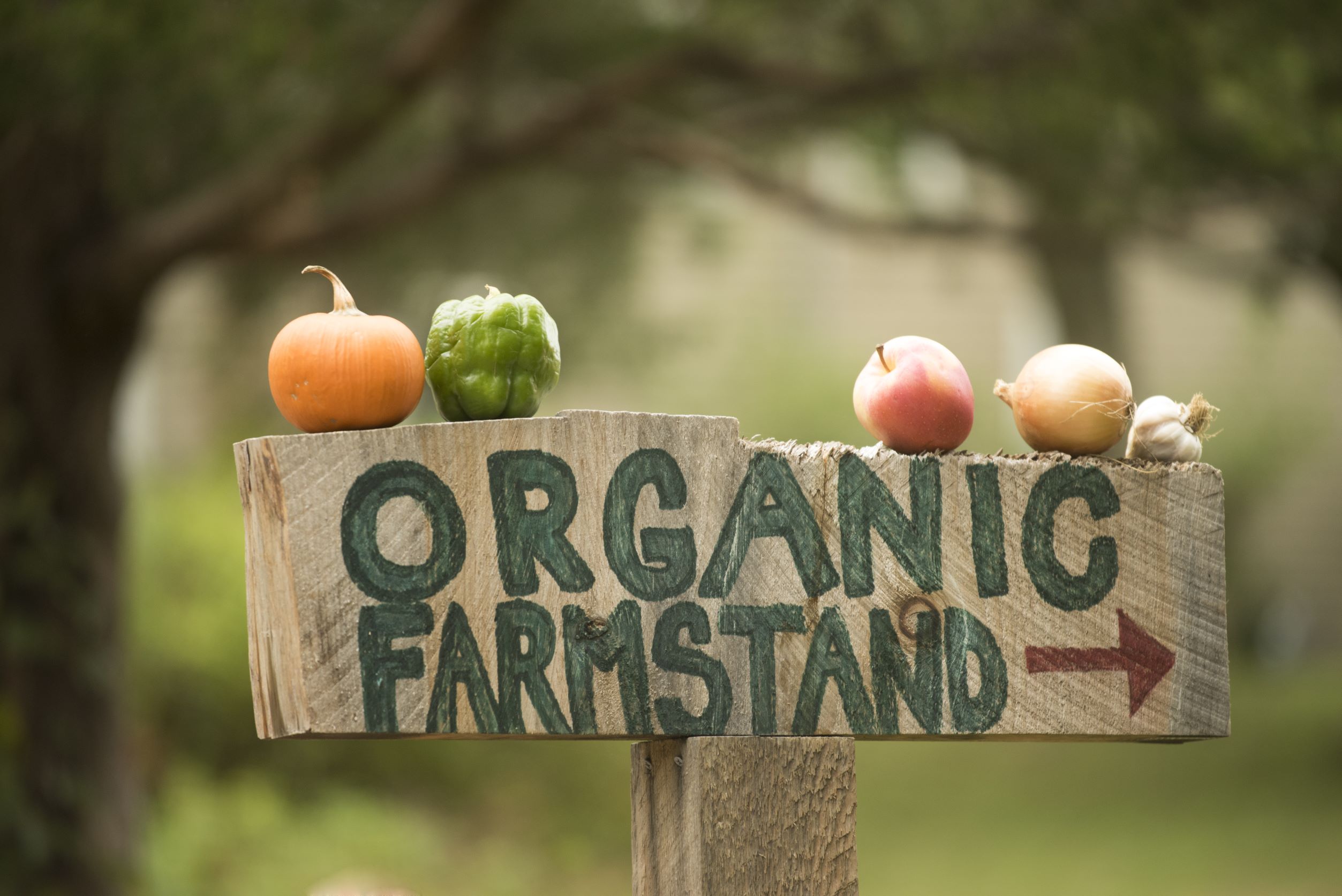 How and why to sell more organic food and drink | Long Article ...