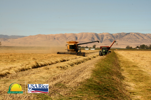 Sun Valley Rice, a legacy of quality and innovation | | Speciality Food ...