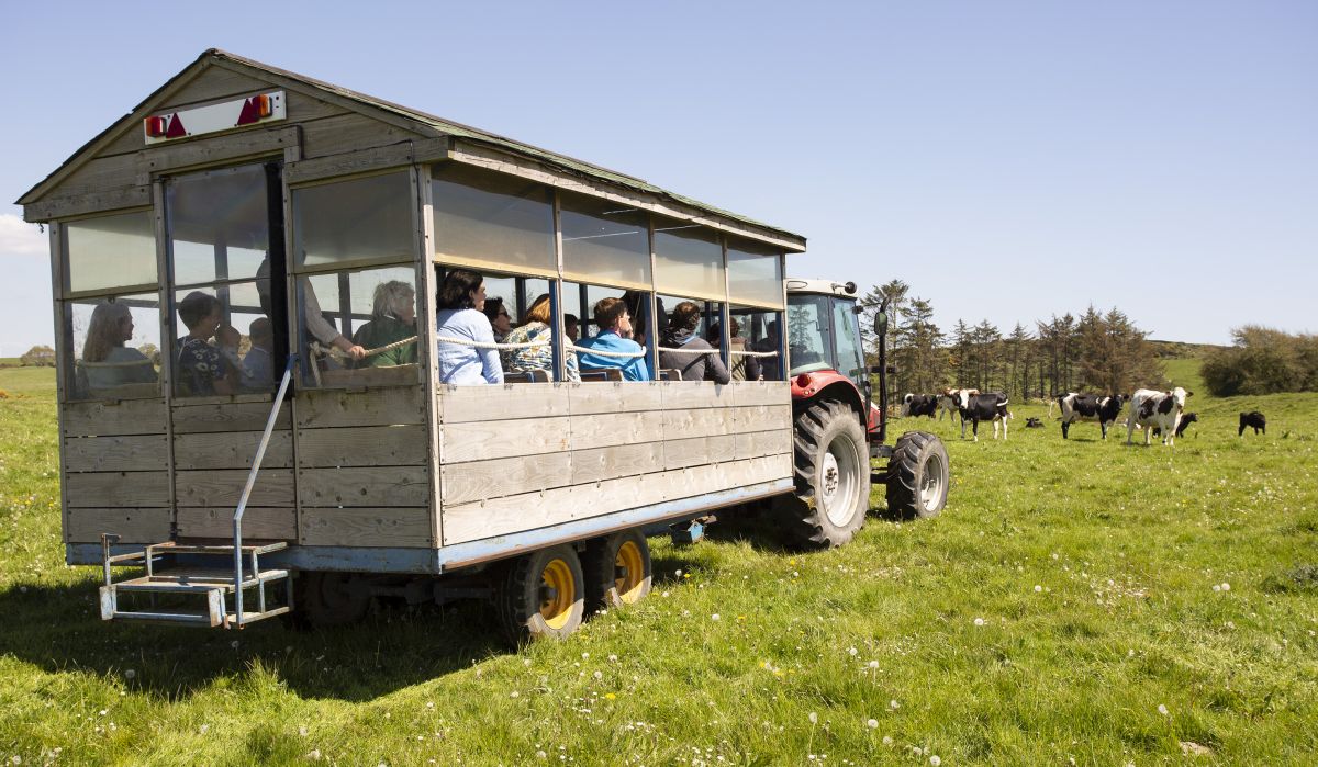 The Ethical Dairy launches with four cheeses | Long Article ...