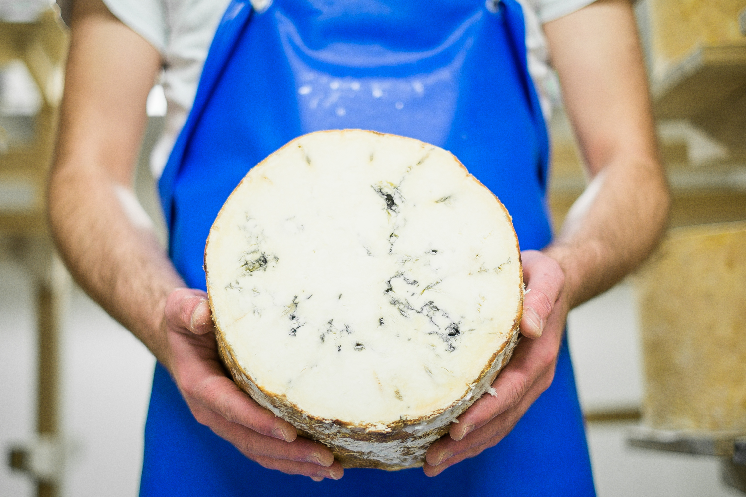 Northern Ireland’s First Raw Milk Cheese | Long Article | Speciality ...