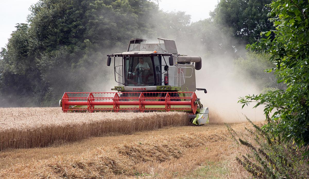 Opinion: Tackling Fake Farm Brands | Long Article | Speciality Food ...