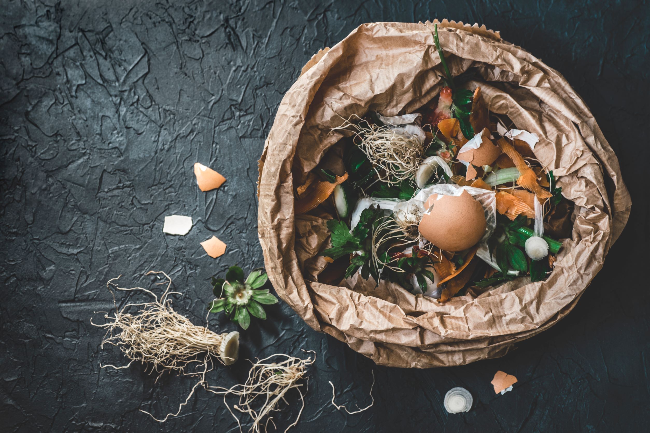 How innovative food businesses are fighting waste | Long Article ...