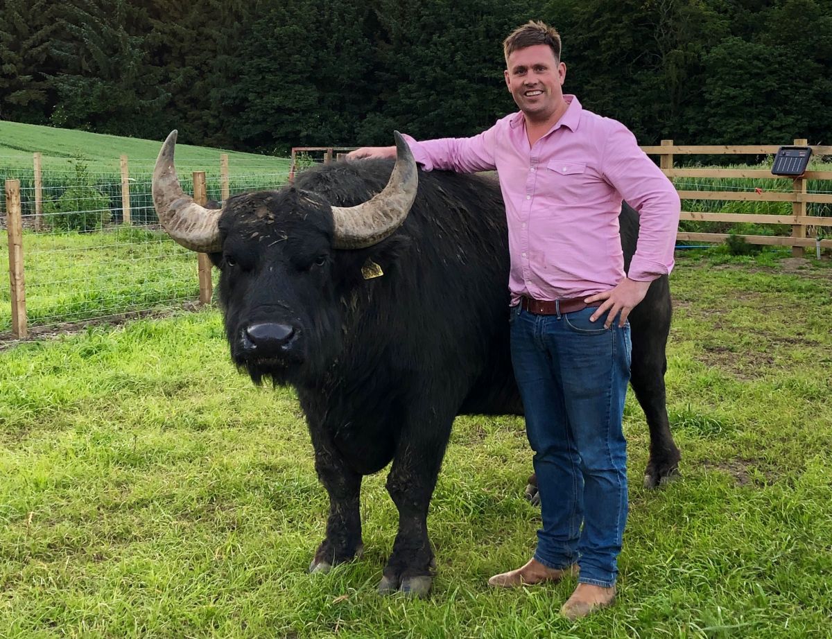 Farmer to produce Scotland’s first home-grown buffalo Mozzarella | Long Article | Speciality ...