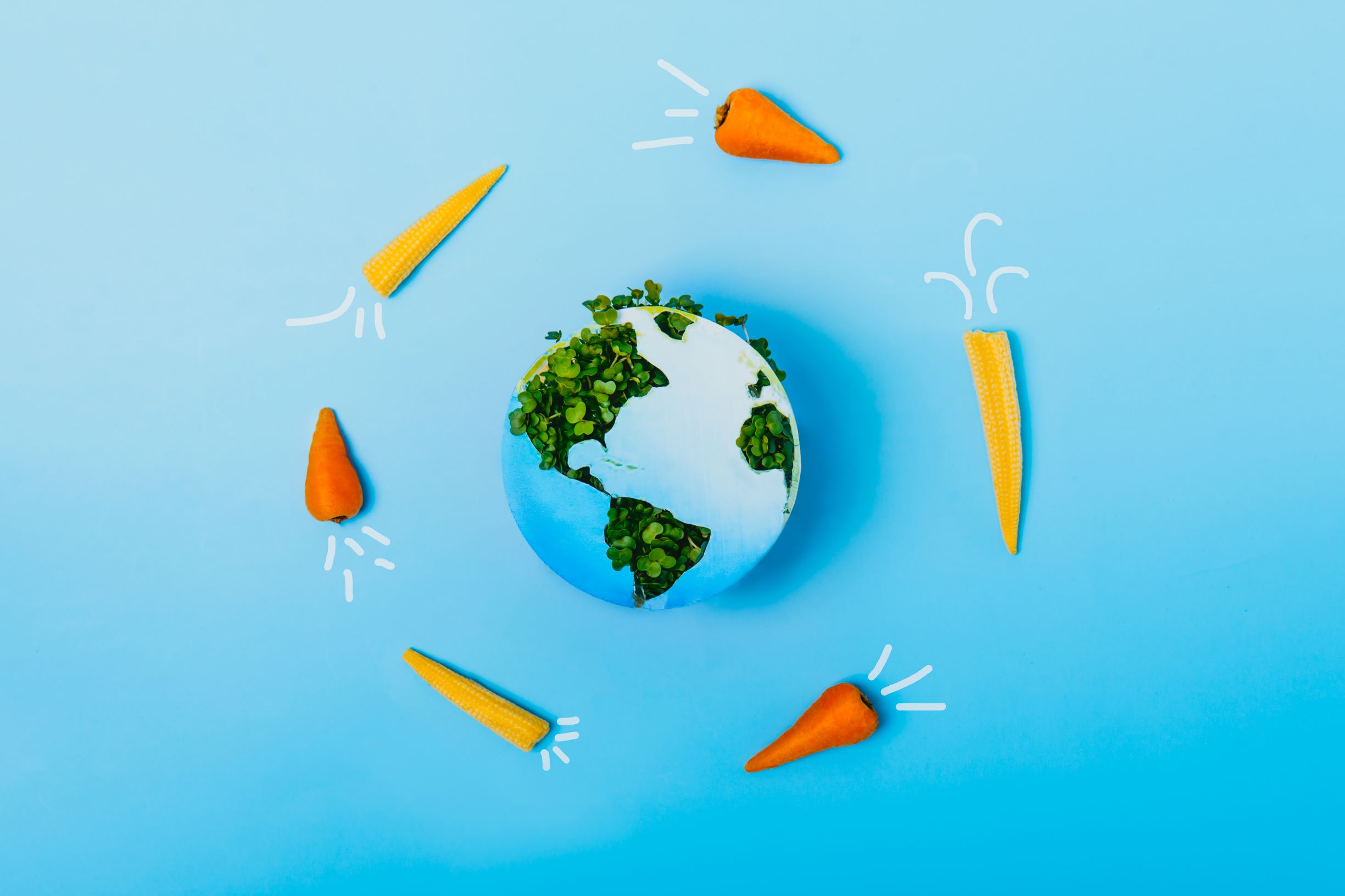 How the food industry is advancing its net zero goals | Retail ...