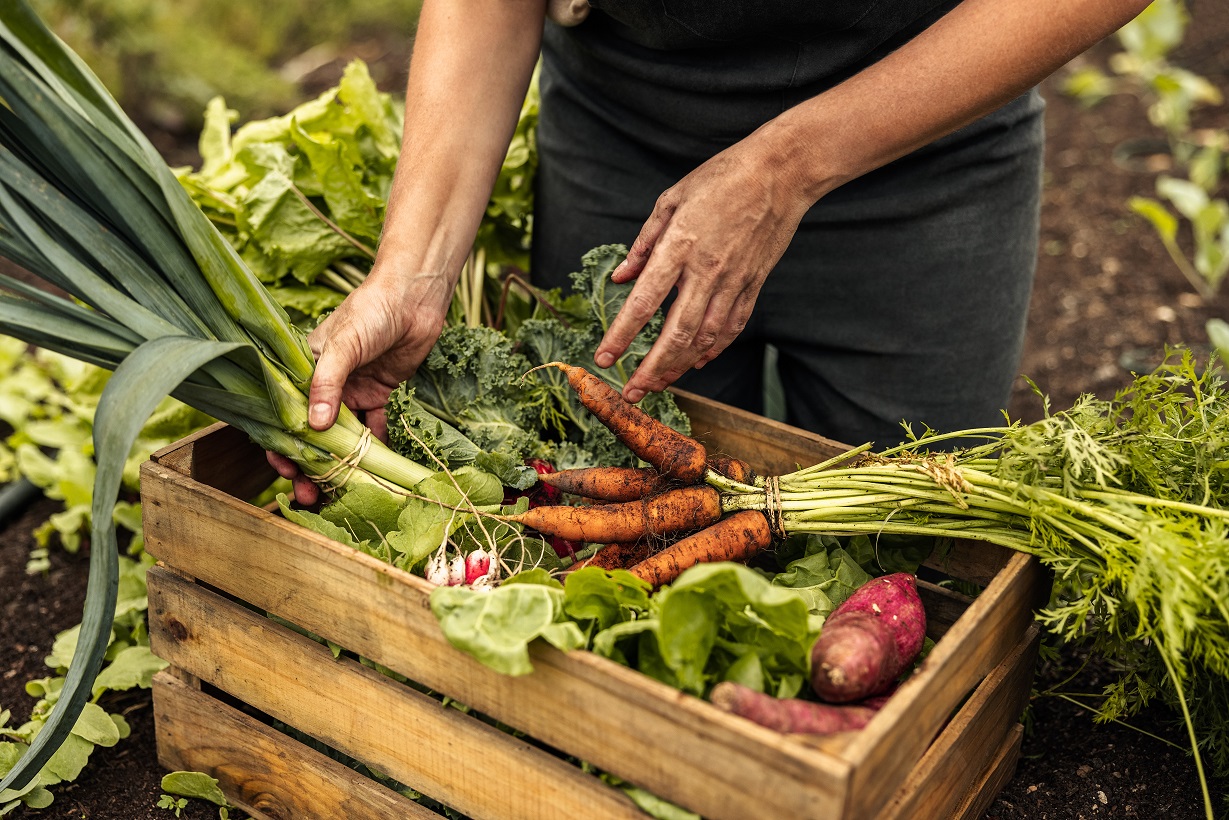 UK experiences “exceptional” growth in organic market | Long Article ...