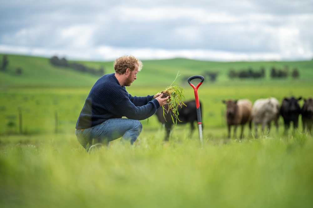 The state of sustainable farming in the UK | Long Article | Speciality ...