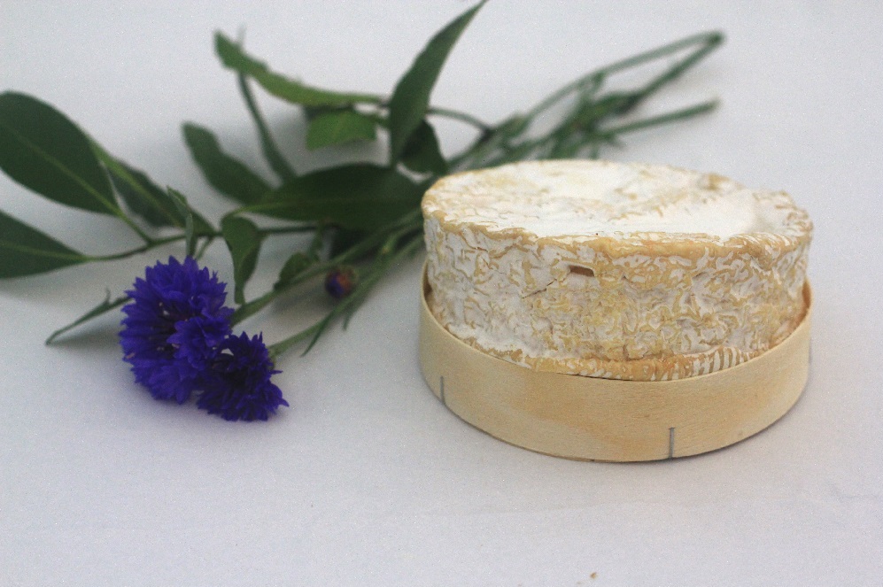Tunworth Wins Supreme Champion at British Cheese Awards | Long Article ...