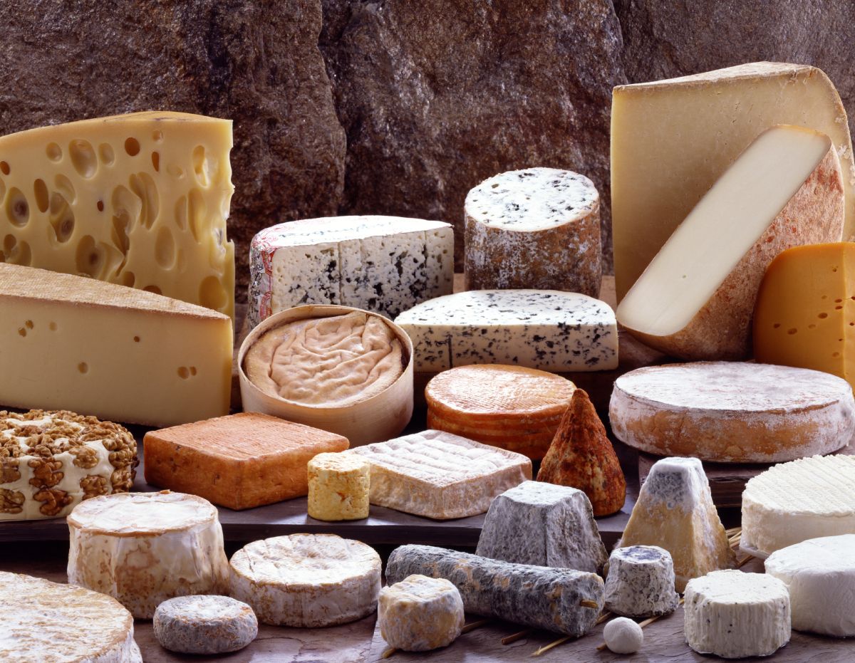 Which international cheeses should you stock? | Long Article ...